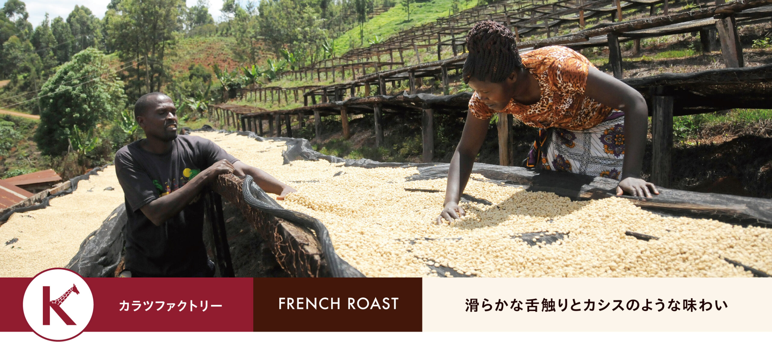 2023_0412_item_mail_karatu | | お知らせ | 堀口珈琲 HORIGUCHI COFFEE